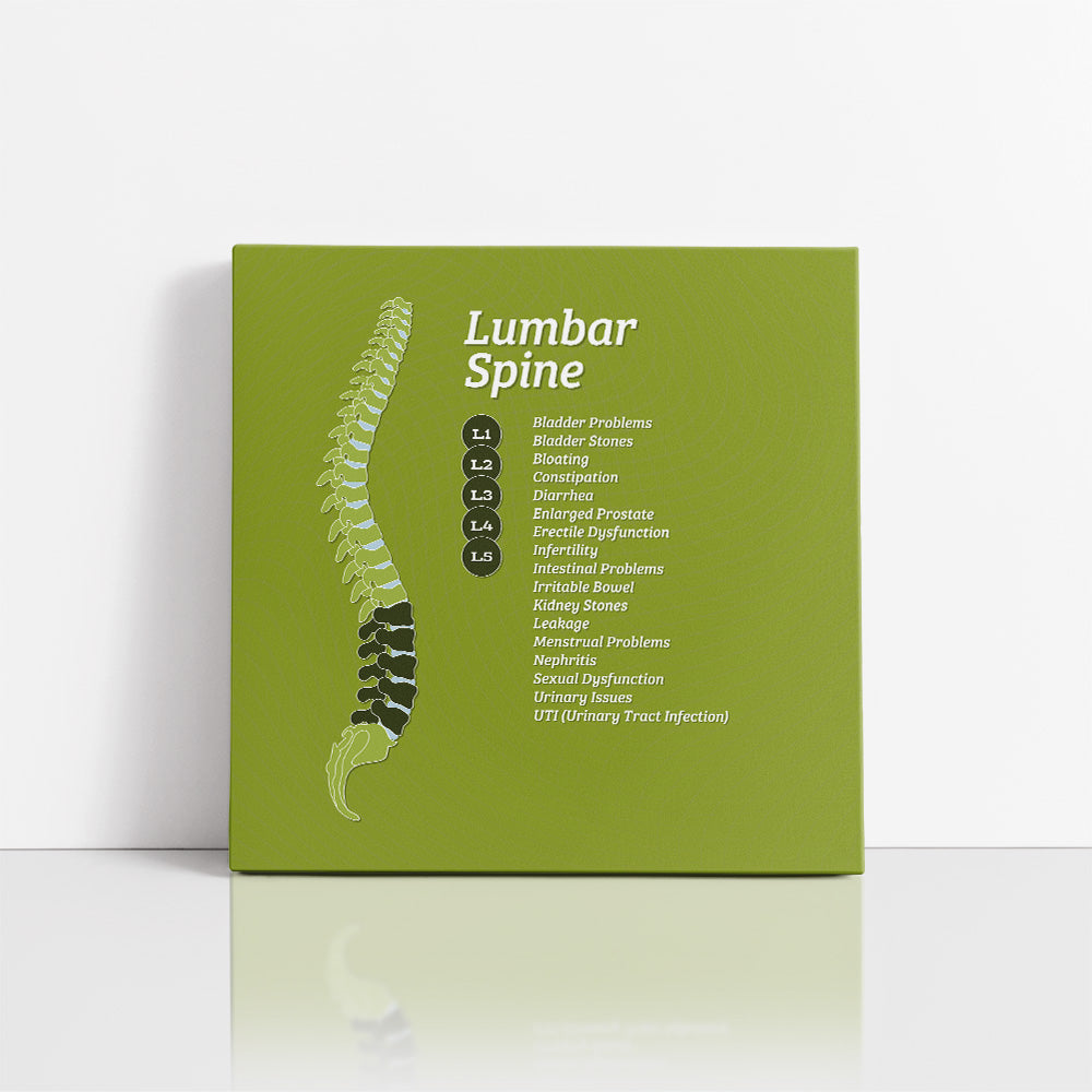 Chiropractic Poster: The Lumbar Spine Patient Education Canvas Wrap ...