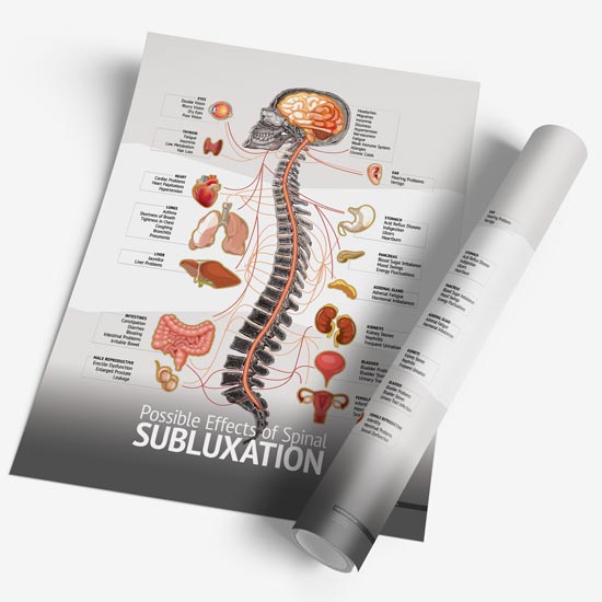 Chiropractic "Subluxation" Spine, Organ, Nerve Chart / Poster ...
